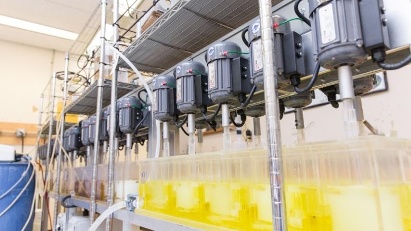 Meet Our Experts: Dr. Jack Zhang on Rare Earth Elements at SRC ...