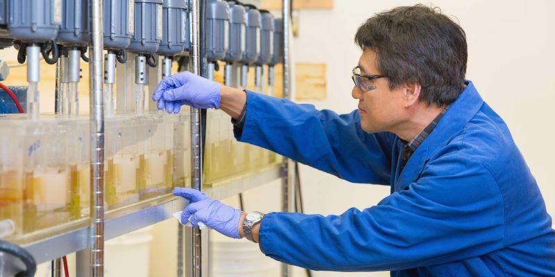 REE Processing Technologies and Services | Saskatchewan Research Council